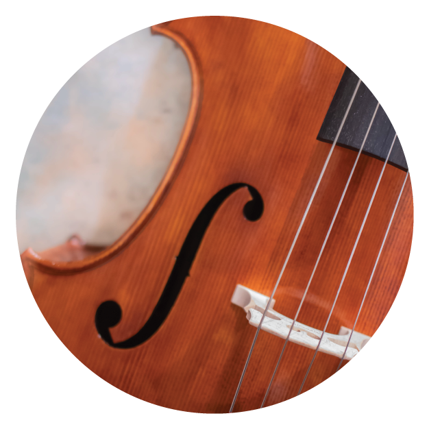 Step-Up Cello - Menchey Music