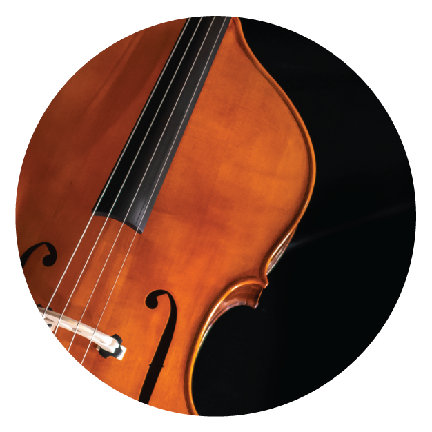 Orchestra Instrument Upgrade | Menchey Music
